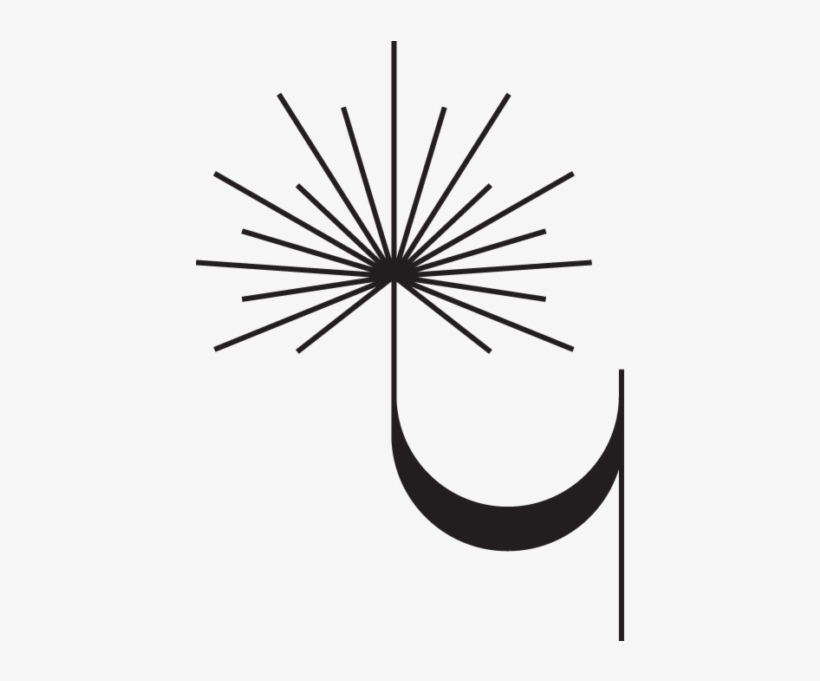 Joshua Tree - Glass - 520x600 PNG Download - PNGkit