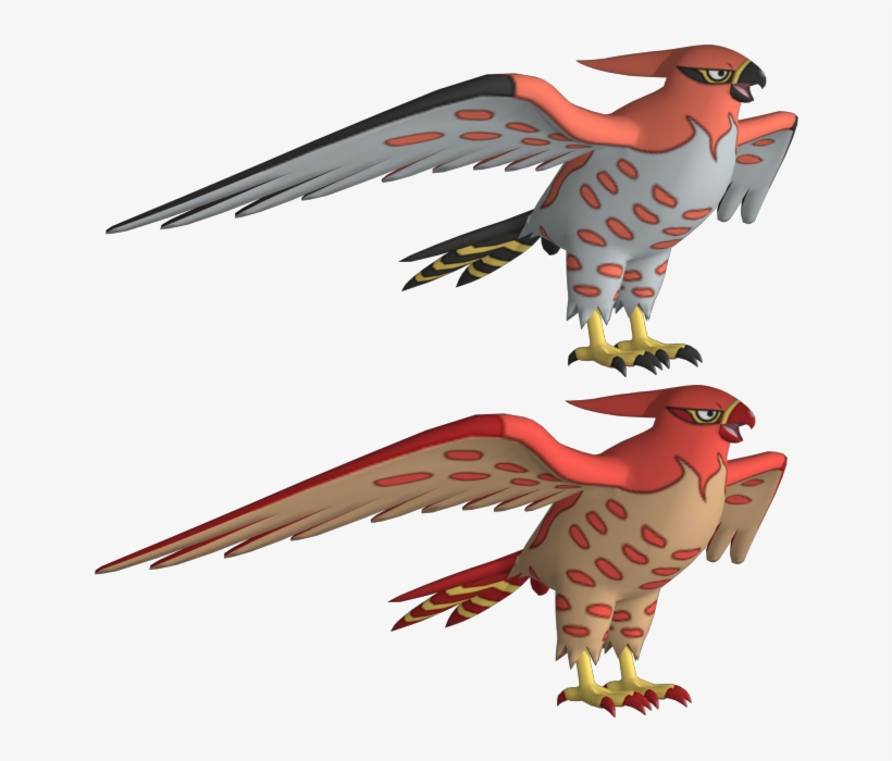 Talonflame Sprite