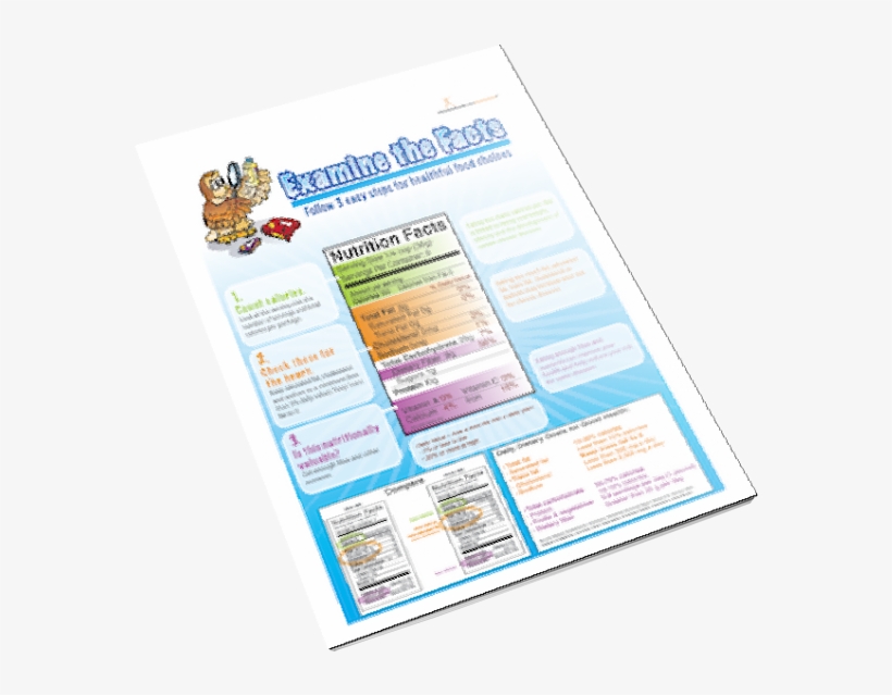 Nutrition Facts Food Label Handout Download - Food Label Poster ...
