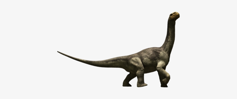 Download Transparent Dinosaur Png Icon - Jurassic Fight Club Camarasaurus - PNGkit