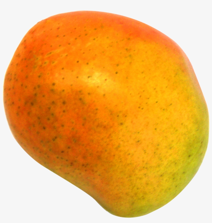Mango Png - 1123x1113 PNG Download - PNGkit