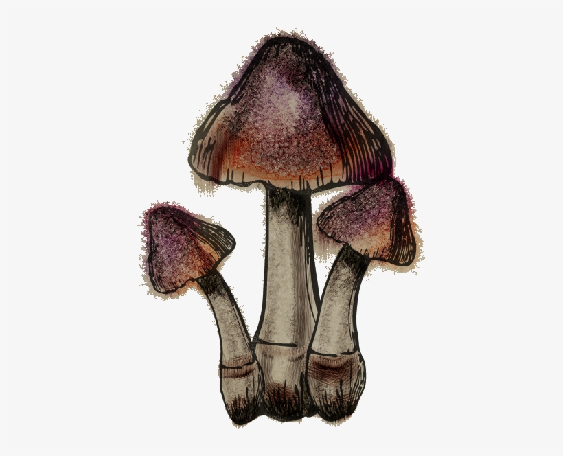 Bleedingcrown - Skyrim Bleeding Crown - 420x584 PNG Download - PNGkit