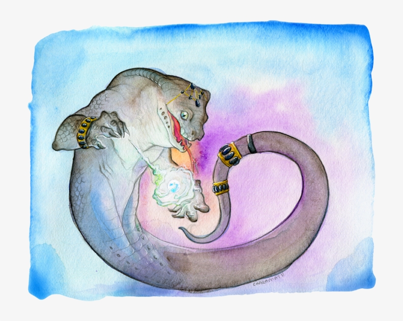Dormouse - 773x587 PNG Download - PNGkit