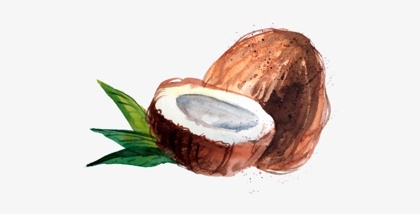 Koko Nut Coconut Extra Virgin Coconut Oil - 579x342 PNG Download - PNGkit