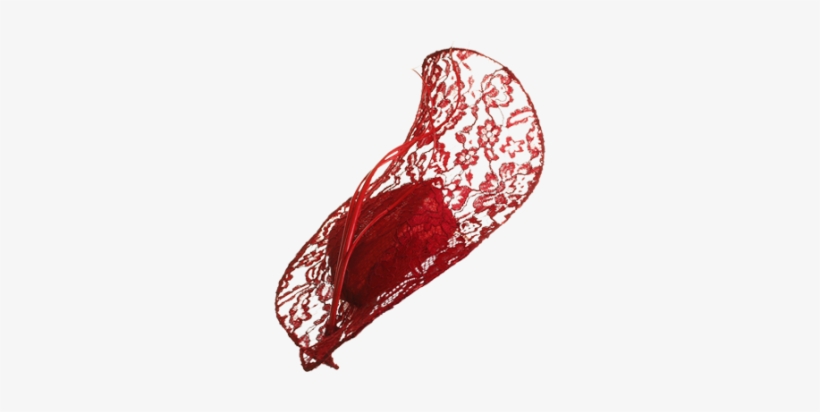 Ana Bella Millinery Red Lace Disc - Red - 583x475 PNG Download - PNGkit