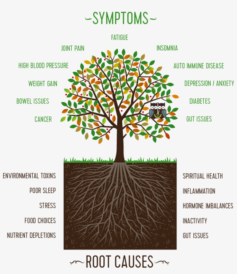 Download Transparent The Tree Story - Verses To Say When Scattering ...