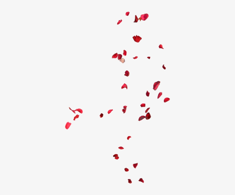 Download Transparent Blowing Rose Pedals - Rose Leaves Flying Png - PNGkit