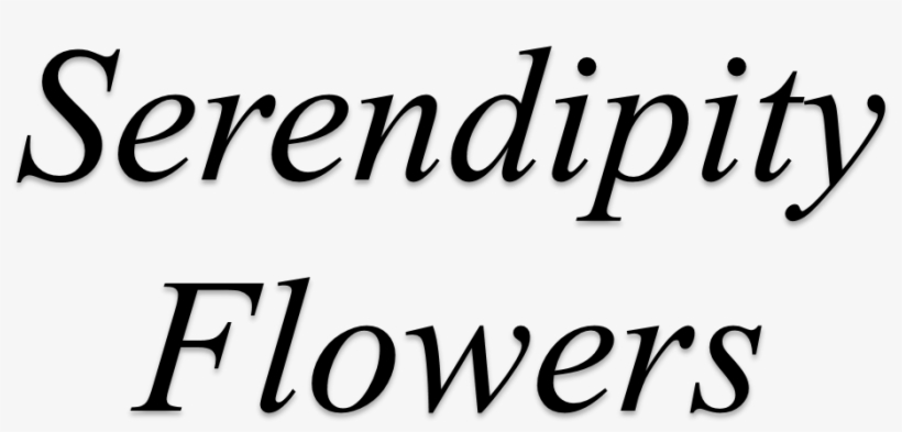 Sleepwell Serenity Mattress - 1163x679 PNG Download - PNGkit