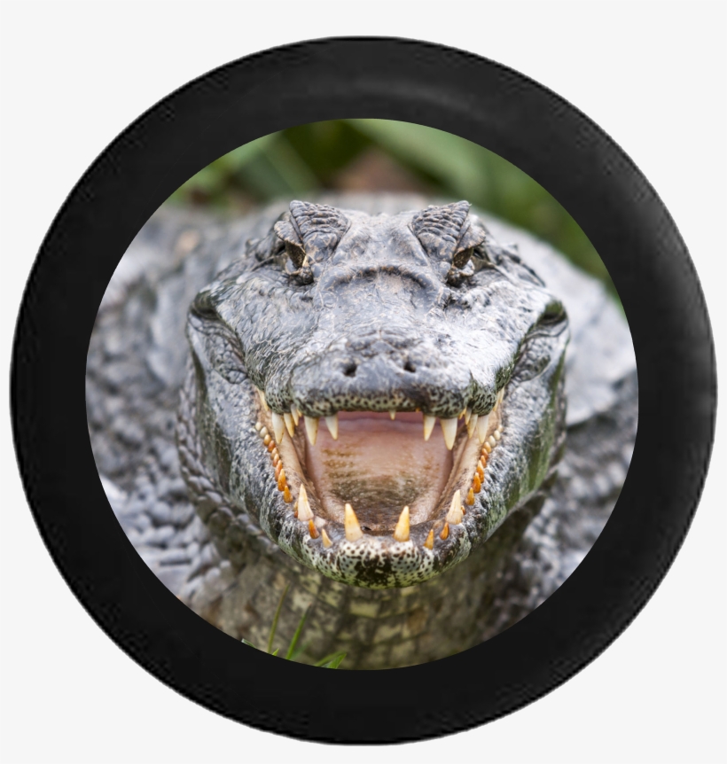 On September 2nd, Yg Entertainment Announced Their - Ygkplus - 500x500 PNG Download - PNGkit