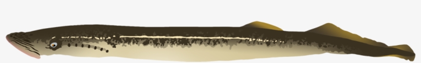 Swedish Fish Clipart - Sand Eel - 1200x675 PNG Download - PNGkit