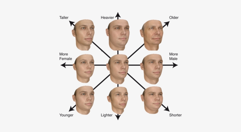The Model Attributes - Sexual Orientation Facial Recognition - 450x369 ...