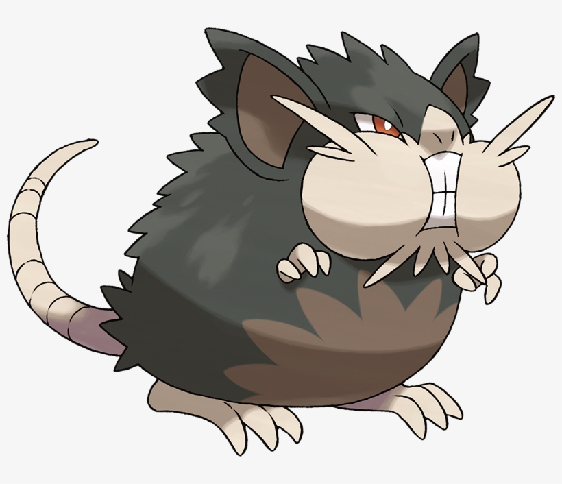 Alolan Raticate Pokédex - 800x626 PNG Download - PNGkit