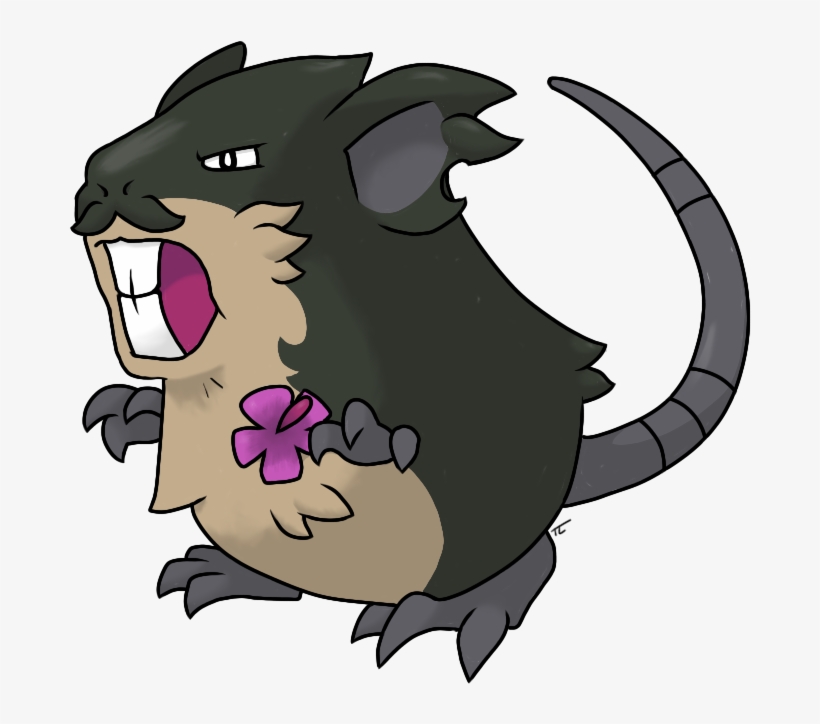 Alolan Raticate - Rat - 1280x960 PNG Download - PNGkit
