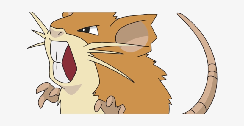 Pokemon Raticate - 650x342 PNG Download - PNGkit