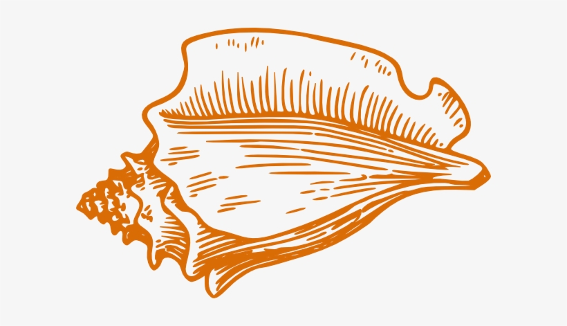 Conch Shell Clip Art - 600x391 PNG Download - PNGkit