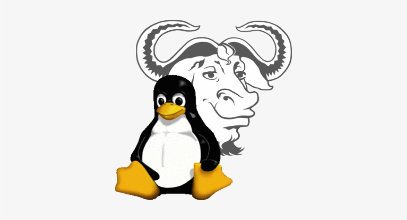 Penguin - Gnu Linux - 358x364 PNG Download - PNGkit