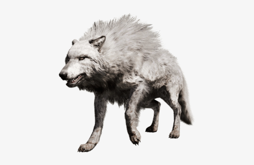 You Can Tame It - Far Cry Primal Lobo - 472x480 PNG Download - PNGkit
