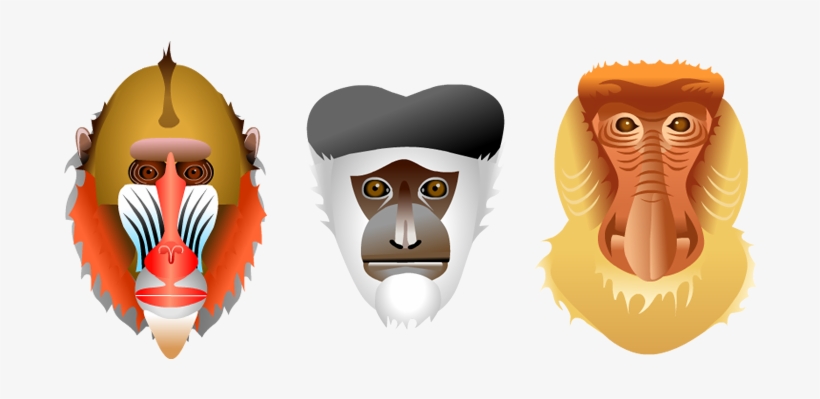 Monkeyface5 - Illustration - 730x350 PNG Download - PNGkit