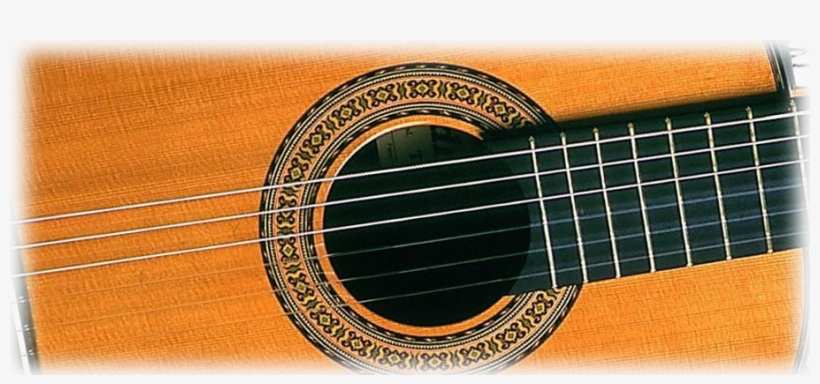 Cort Ac11 Nat M - 905x380 PNG Download - PNGkit