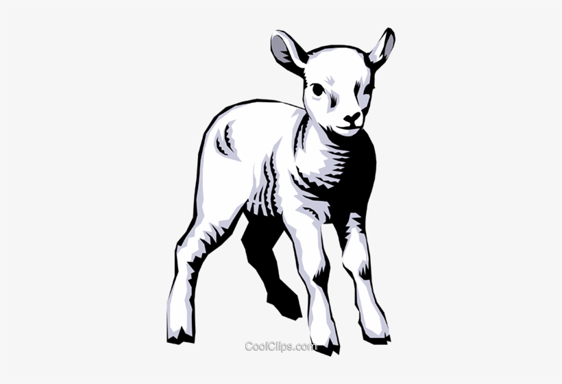 Lion And Lamb Royalty Free Clipart