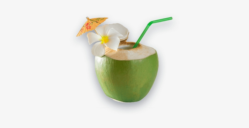 Aloha - Green Coconut With Straw - 367x342 PNG Download - PNGkit