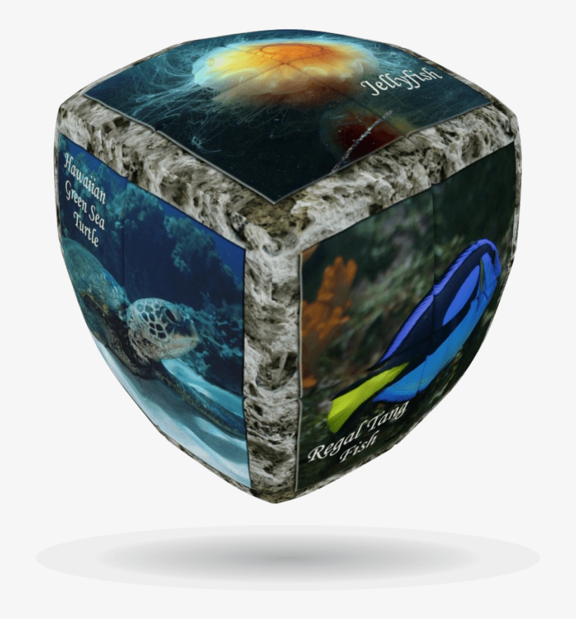 Sea World V-cube 2b - V-cube 2 Essential-sea World Cube (multi-colour) - 800x800 PNG Download ...
