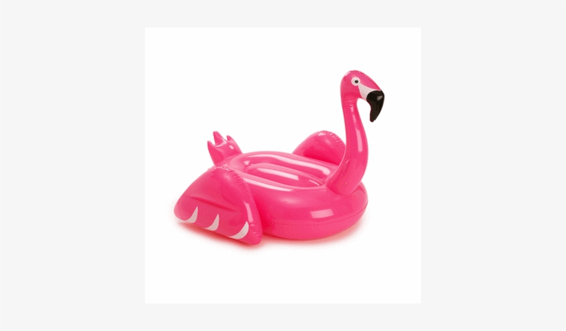 Flamingo Pool Float - Funboy Inflatable Flamingo Pool Float In Pink ...