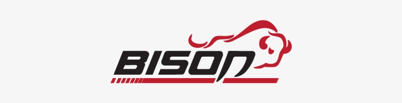 Bison - 400x400 PNG Download - PNGkit