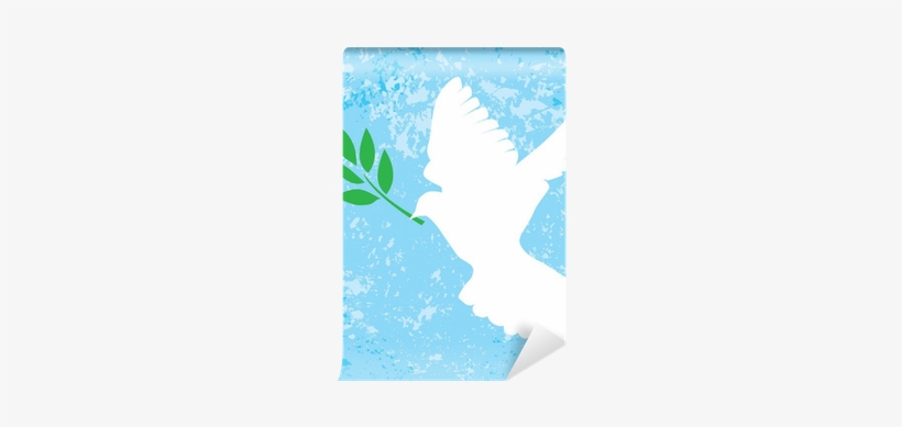 Photograph - 400x400 PNG Download - PNGkit