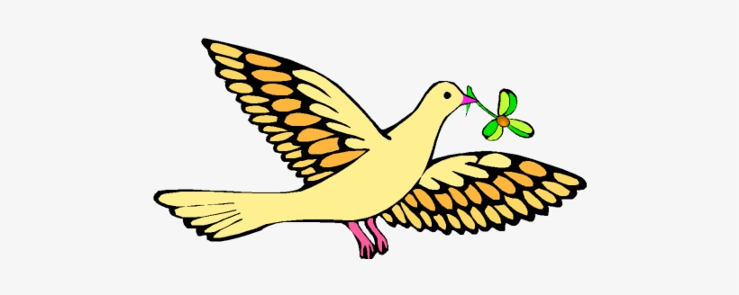 Confirmation Catechism - 500x253 PNG Download - PNGkit