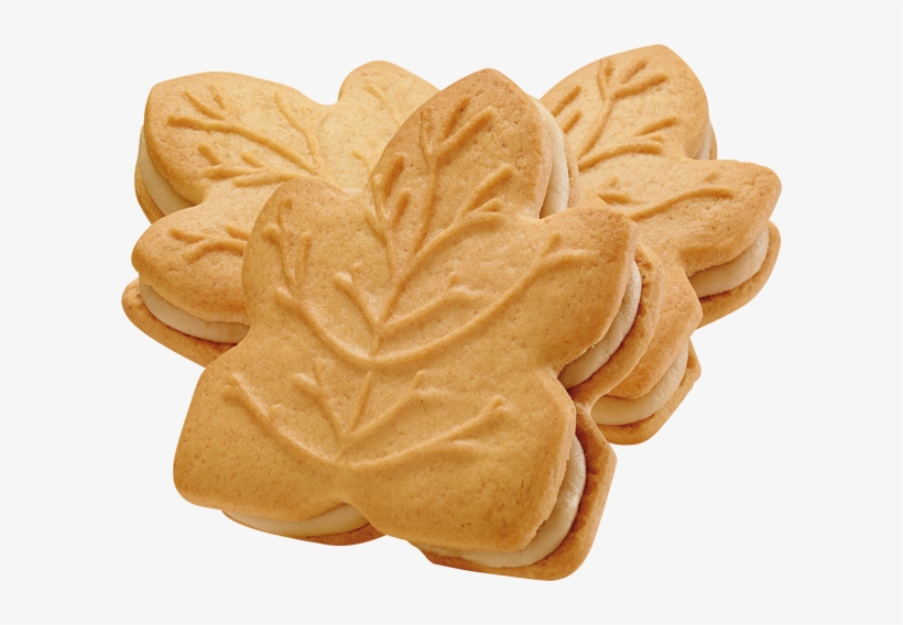 Download Transparent Maple Leaf Cookie Png - PNGkit