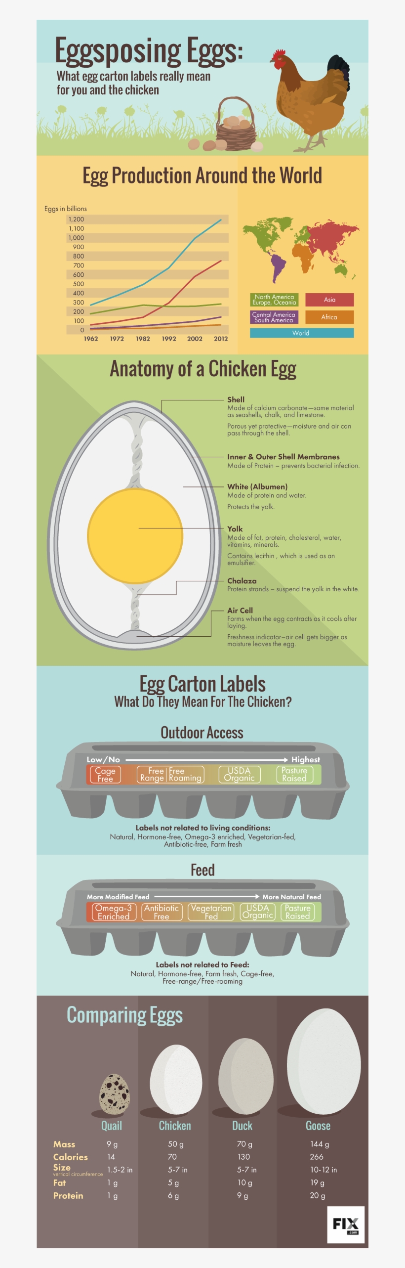 Download Transparent Fundraising - PNGkit