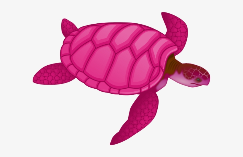Pink Turtle Clipart