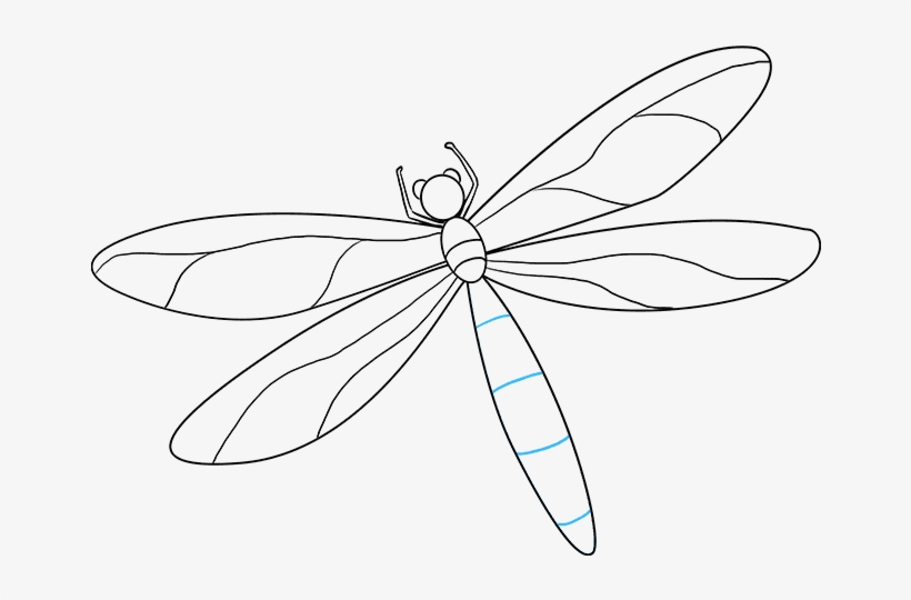 How To Draw A Dragonfly Really Easy Drawing Tutorial - Drawing ...