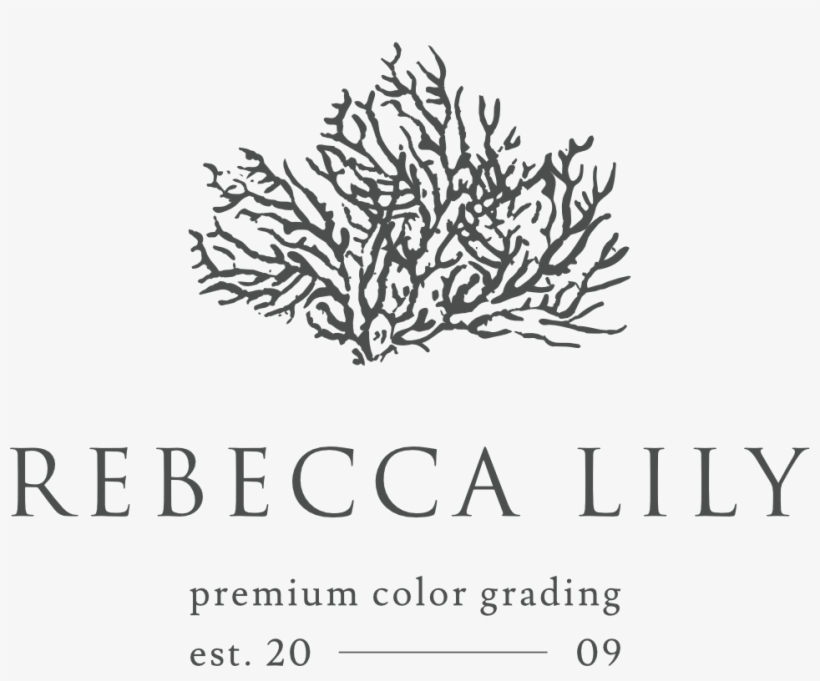 Tough Calls: Game-winning Principles For Leaders Under - 958x750 PNG ...