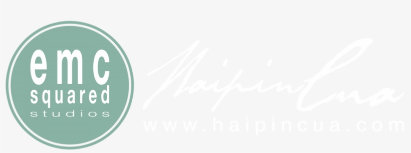 Download Transparent New Emc Logo - PNGkit