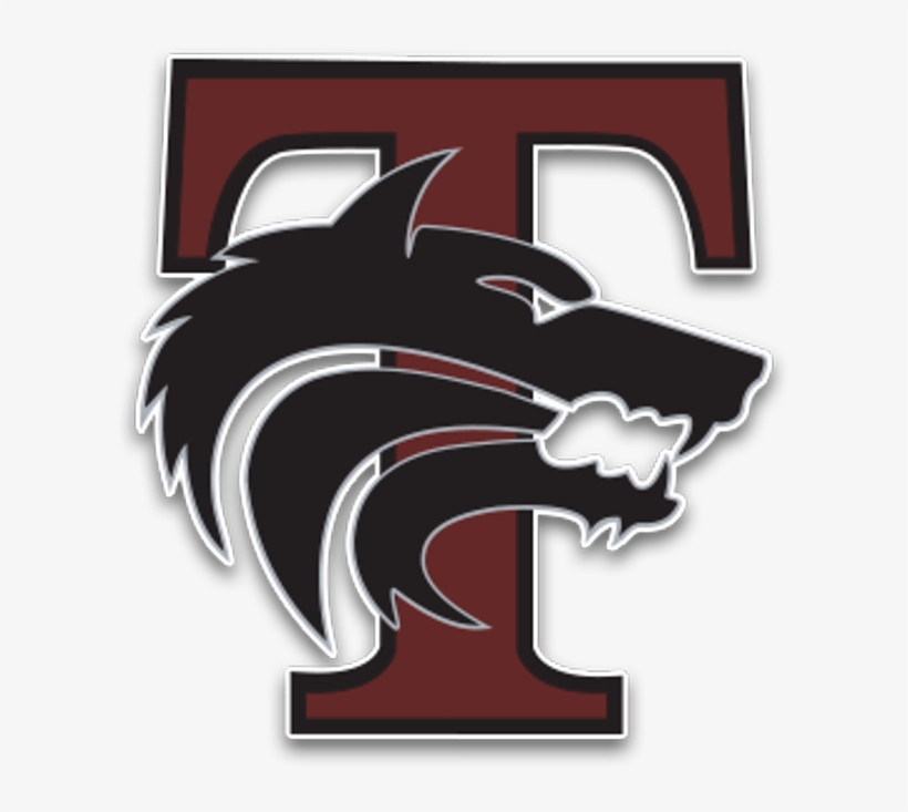 2017 Orange Champions - Mansfield Timberview High School Logo ...