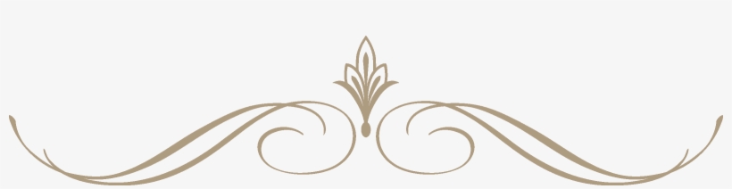 Fancy Brackets Png - 2400x505 PNG Download - PNGkit