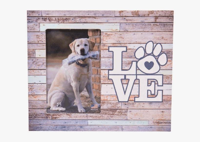 Picture Frame " - Dog Transparent Frames Png - 733x550 PNG Download ...