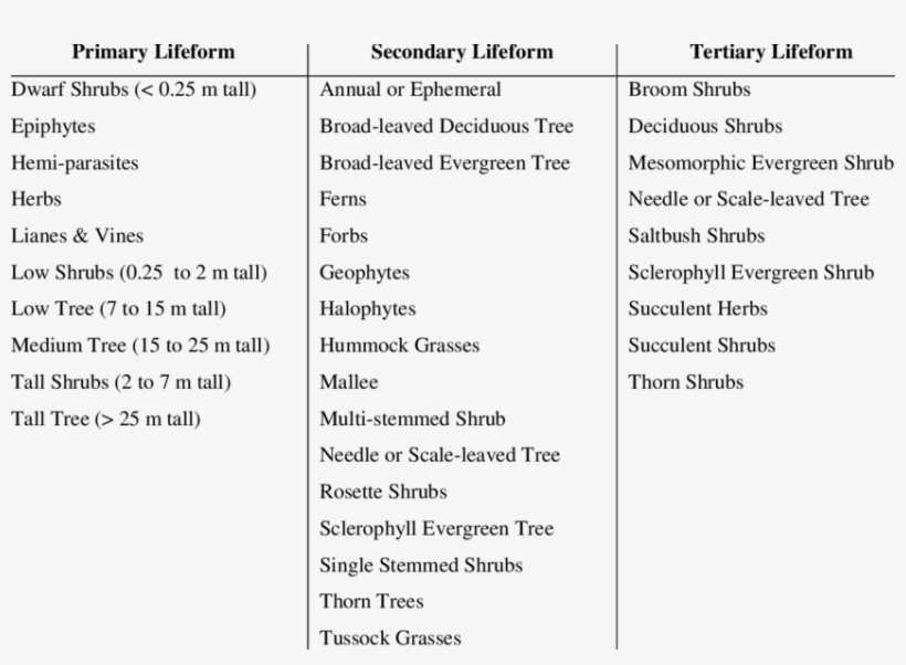 Life Form Categories Used To Describe General Architecture - Organism ...