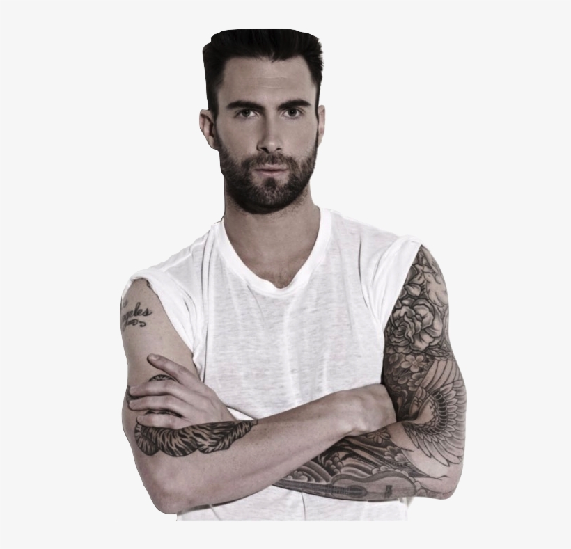 Adam Levine Transparent - Cantor Do Maroon 5 - 1024x708 PNG Download ...