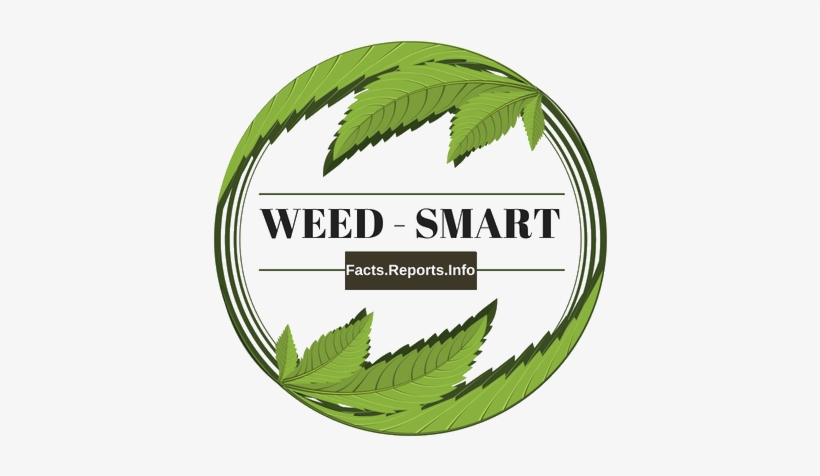 All Things Weed - Slogan Le Cannabis - 500x500 PNG Download - PNGkit