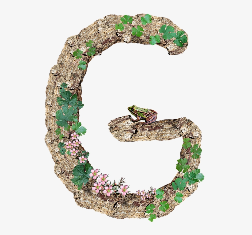 Alphabet, Letter, G, Rustic, Timber, Bark - Alphabet - 645x720 PNG ...