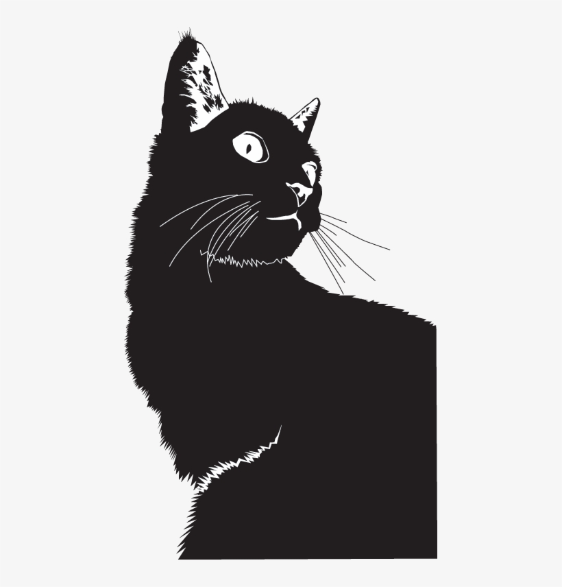 Cat Mischief Managed - And - 457x776 PNG Download - PNGkit
