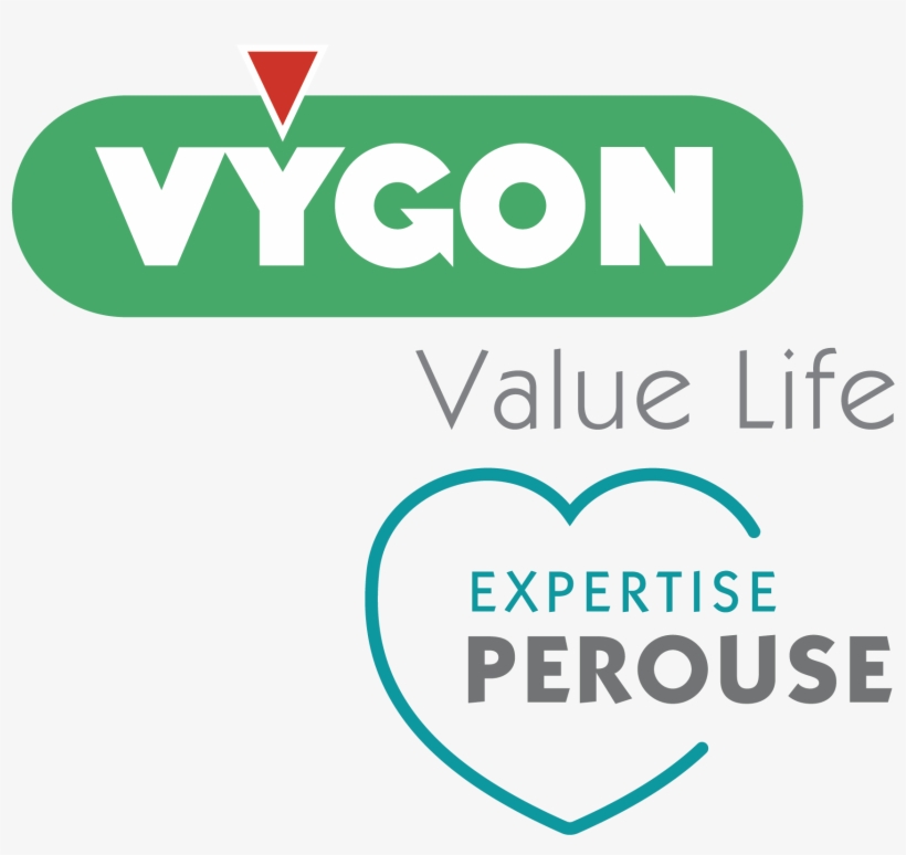 Gold Corner Sponsors - Vygon Logo - 1904x1598 PNG Download - PNGkit