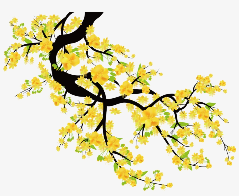 Yellow Cherry Blossom Png - 1500x1500 PNG Download - PNGkit