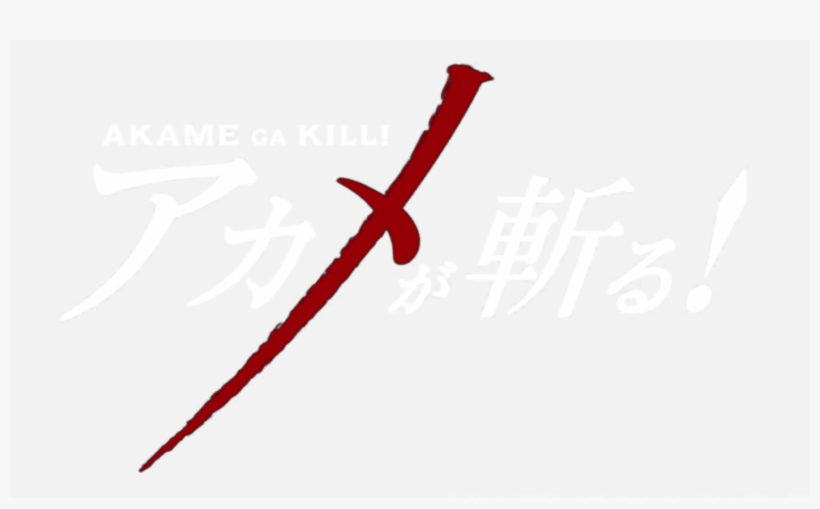 Akame - 2048x1173 PNG Download - PNGkit