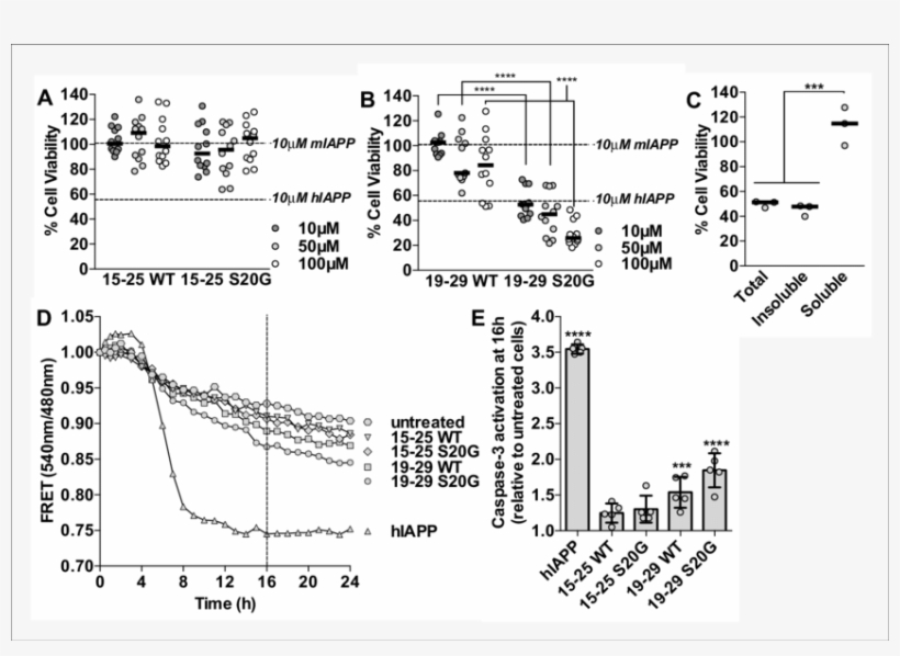 Download Transparent Segment 19 29 S20g Forms The Toxic Core Of Hiapp ...