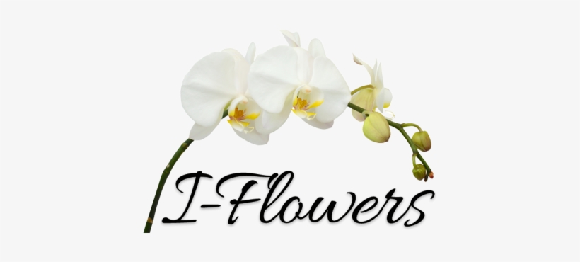 Phoenix, Az Florist - Woodware Clear Stamps - Farewell Goodbye Keep In ...