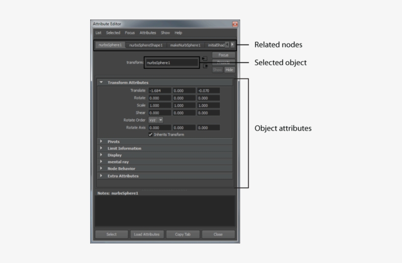 While The Channel Box Provides A More Compact View - Attribute Editor Maya 2017 - 452x458 PNG ...